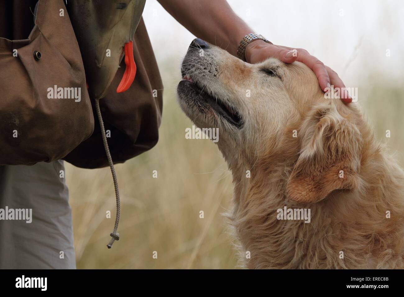 Fondling hi-res stock photography and images - Alamy