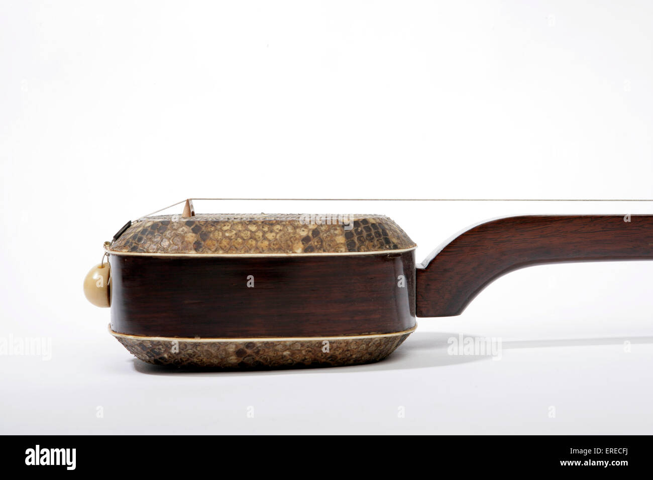 San Hsien or Sanxian, 3 stringed chinese lute. Detail of Python skin ...