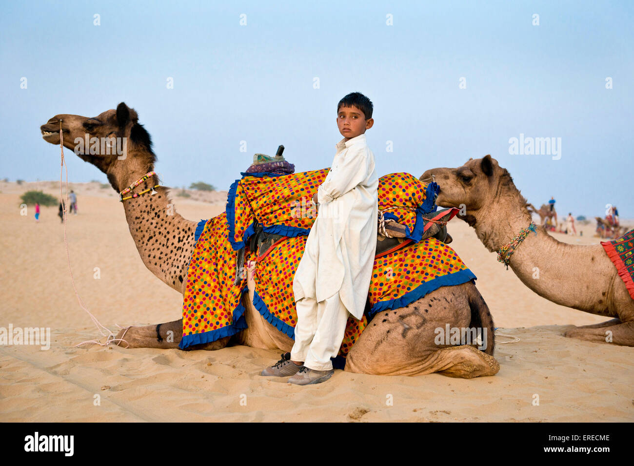 India, Rajasthan, Jaisalmer, camel ride desert Stock Photo - Alamy