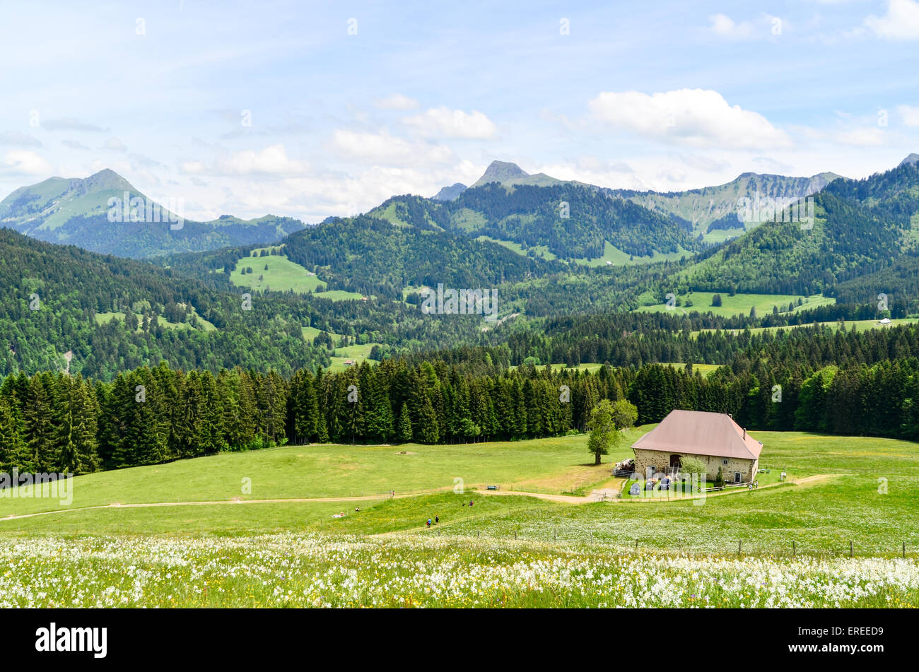 Mountain Farm In Switzerland Stock Photos & Mountain Farm In ...