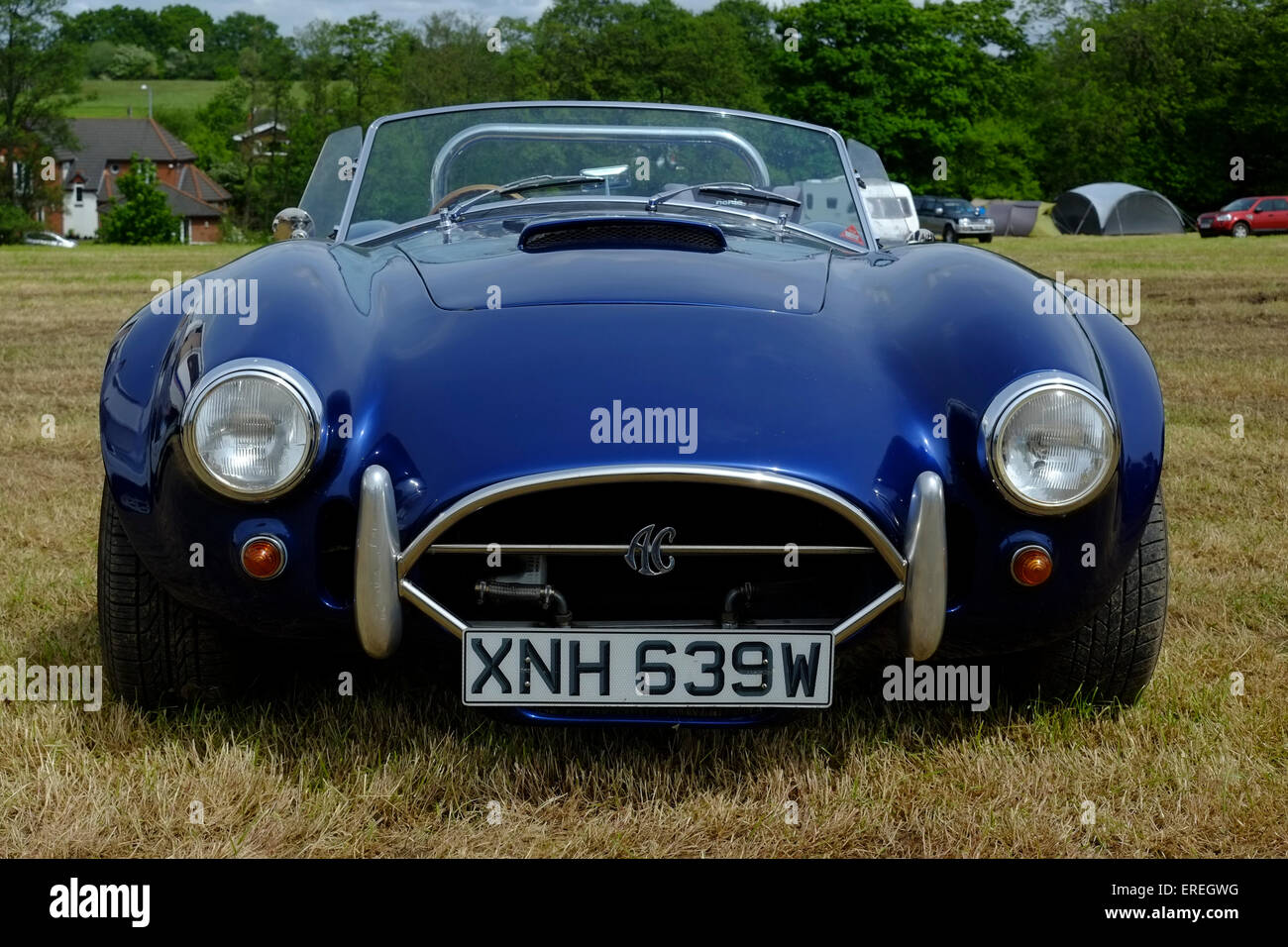 Cobra sports car hi-res stock photography and images - Alamy