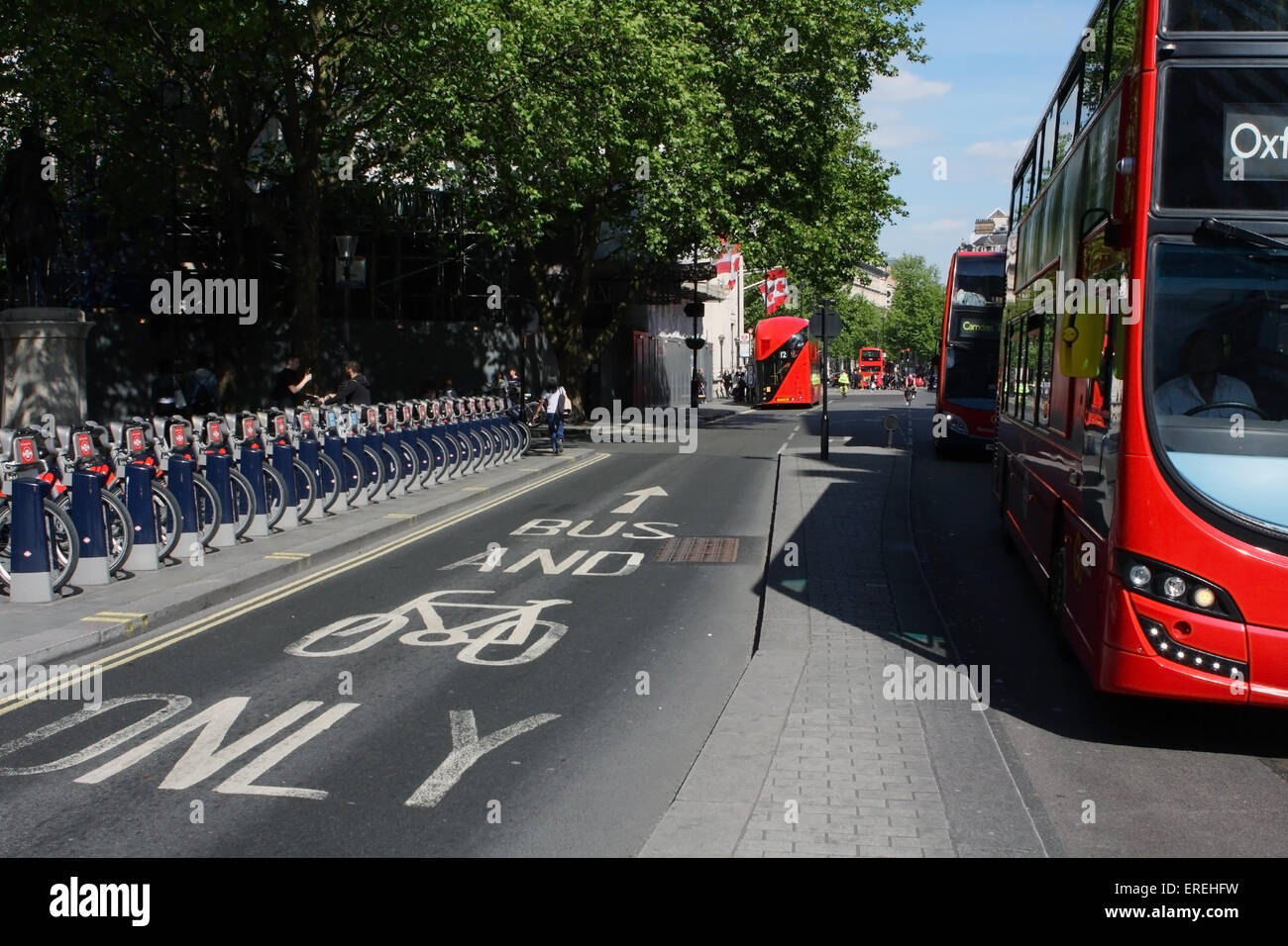 Bus and bike only sign hi-res stock photography and images - Alamy