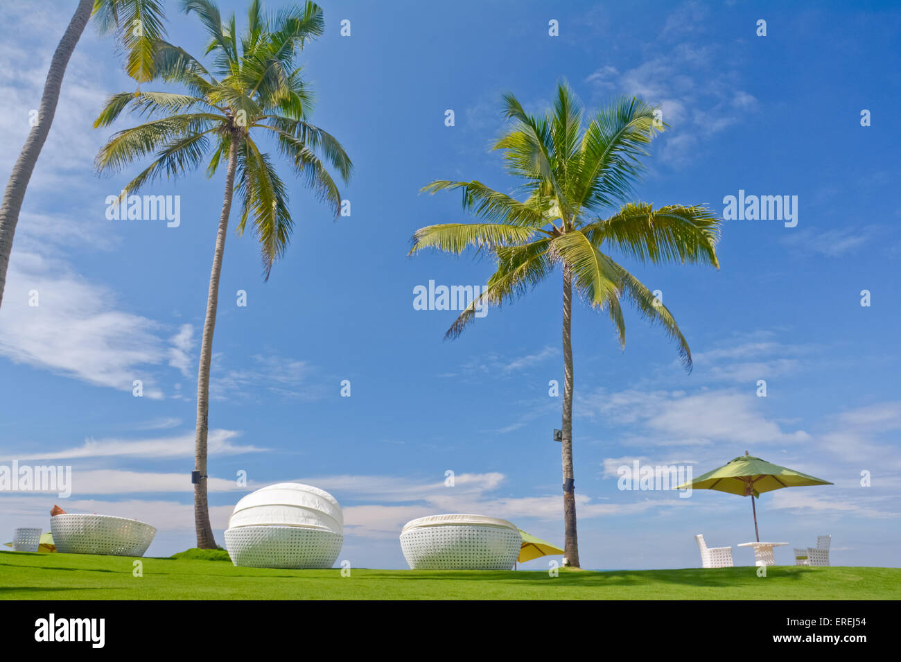 Sunbath hi-res stock photography and images - Alamy