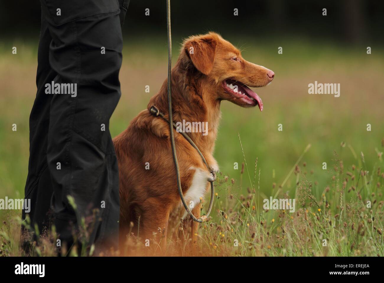 Sitting peoples legs hi-res stock photography and images - Alamy