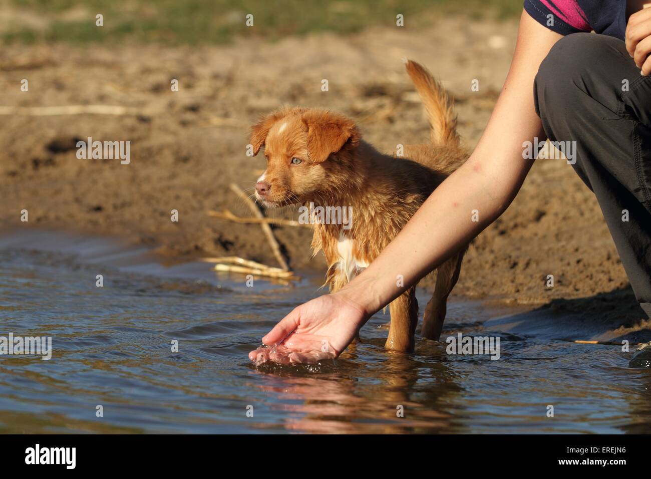 Human baby bath hi-res stock photography and images - Alamy