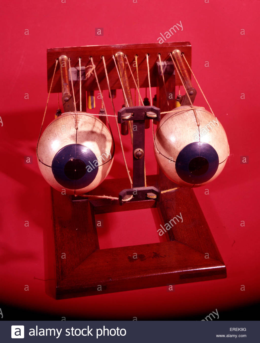 Hermann Von Helmholtz Stock Photos & Hermann Von Helmholtz Stock Images ...