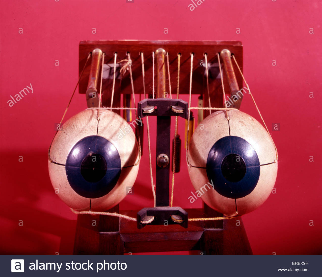 Hermann Von Helmholtz Stock Photos & Hermann Von Helmholtz Stock Images ...