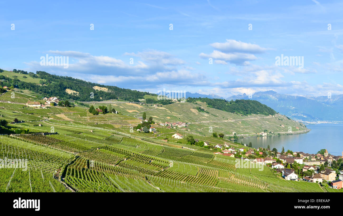 Lavaux mountain vineyard path hi-res stock photography and images - Alamy