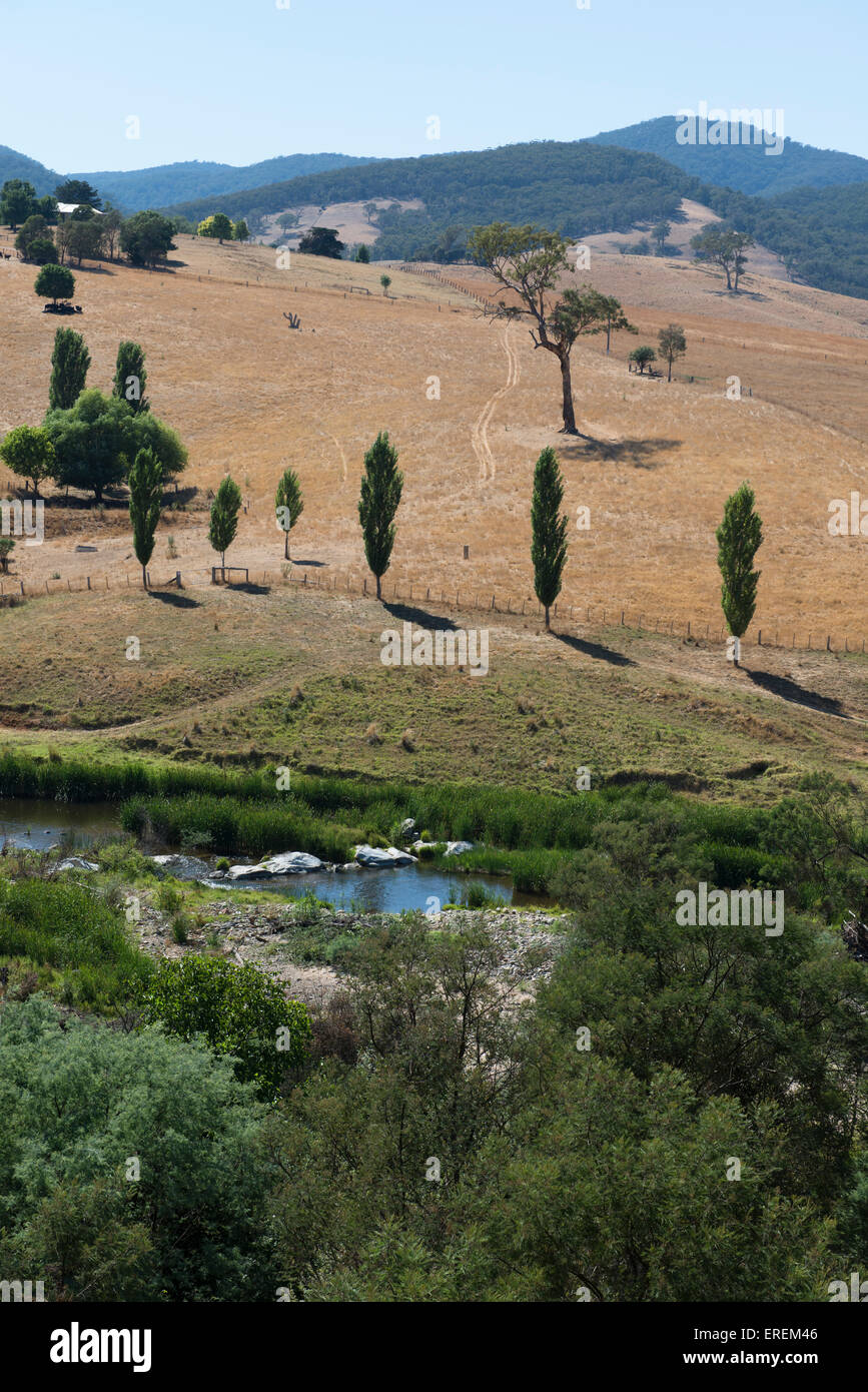 Tambo river australia hi-res stock photography and images - Alamy
