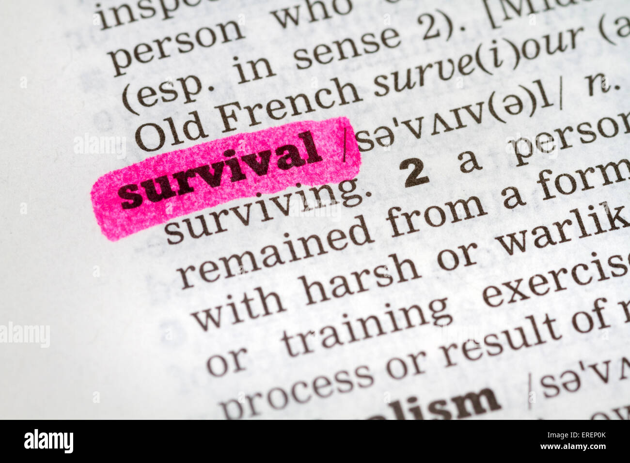Dictionary definition of the word Survival Stock Photo - Alamy