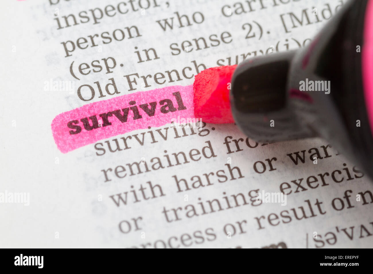 Dictionary definition of the word Survival Stock Photo - Alamy