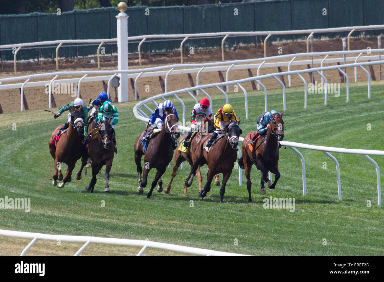 Horses Racing Finish Stock Photos & Horses Racing Finish Stock Images ...