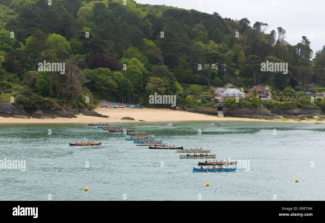 Pilot Gig boat racing rowing event at Salcombe Devon on Sunday 31st May ...