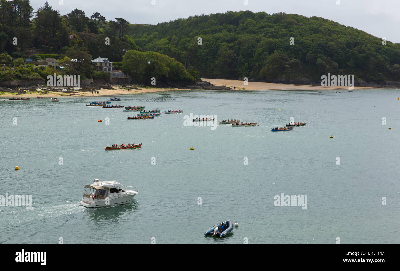 Pilot Gig boat racing rowing event at Salcombe Devon on Sunday 31st May ...