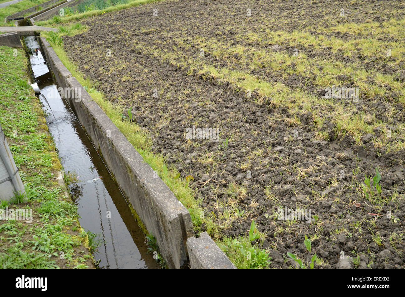 Crop irrigation in Japan Stock Photo - Alamy