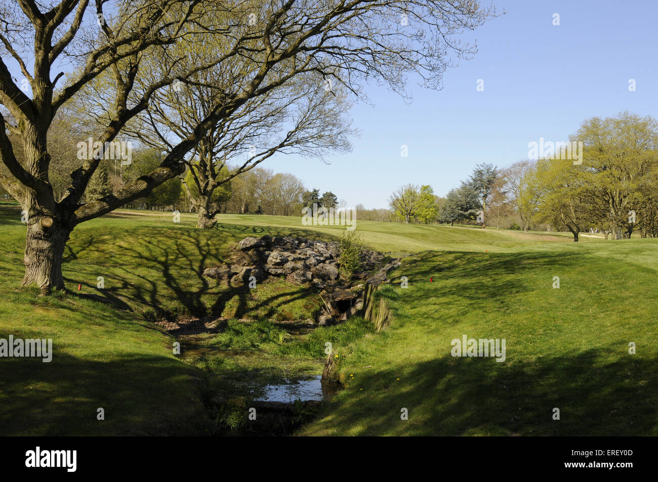 Green golf course view willow hi-res stock photography and images - Alamy