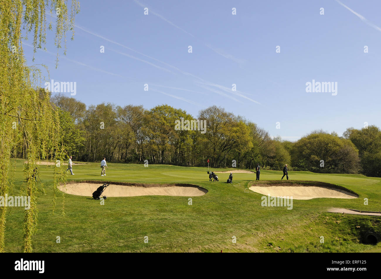 Thorndon park golf club hi-res stock photography and images - Alamy