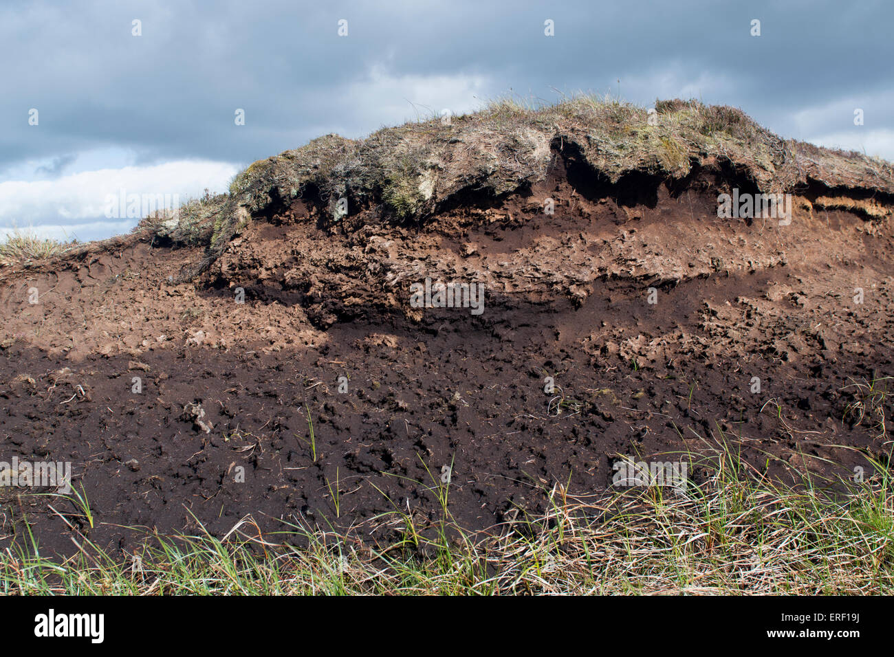 Moorland habitat with peat hags on Fleet Moss above Hawes, North ...