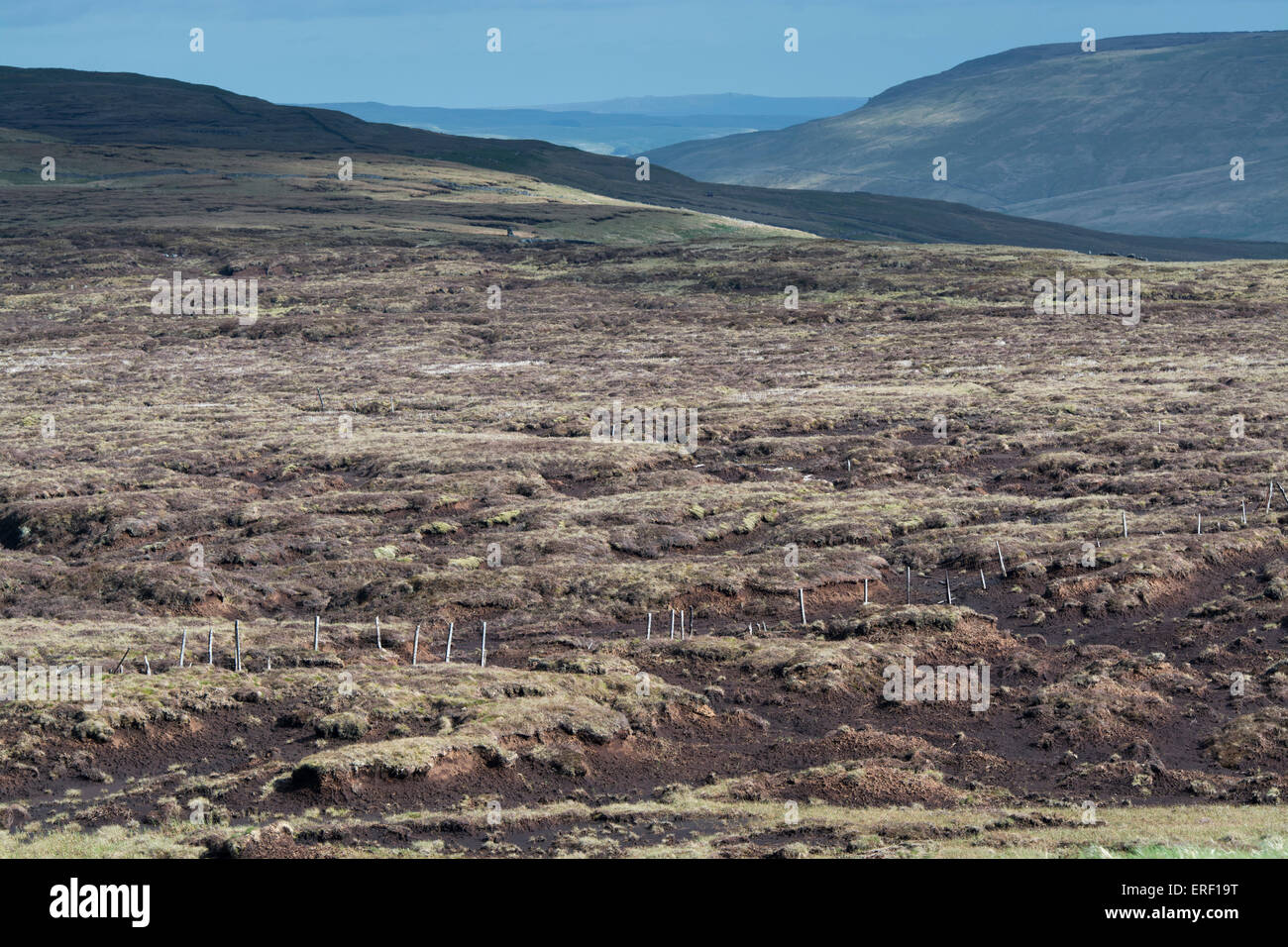Moorland habitat with peat hags on Fleet Moss above Hawes, North ...