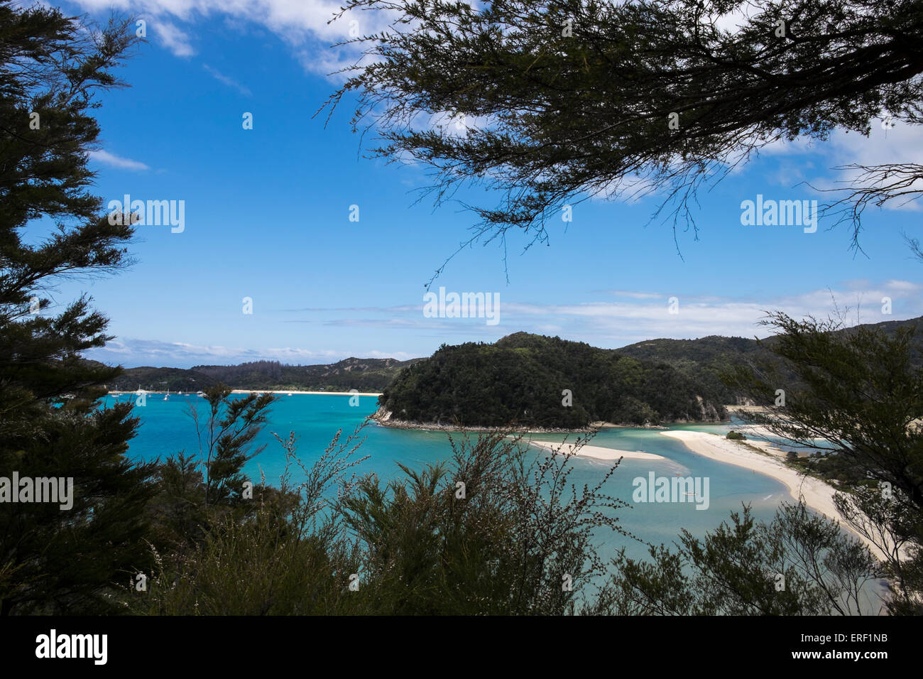 Overlooking Torrent bay from the Abel Tasman coastal track, New Zealand ...