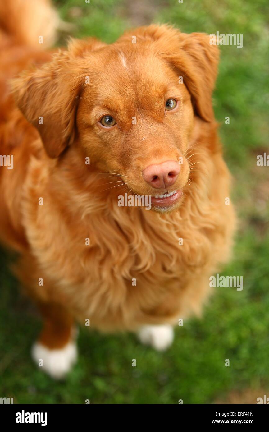 Medium format camera above hi-res stock photography and images - Alamy