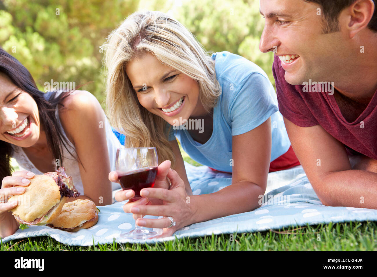 Group Of Friends Enjoying Picnic Together Stock Photo - Alamy
