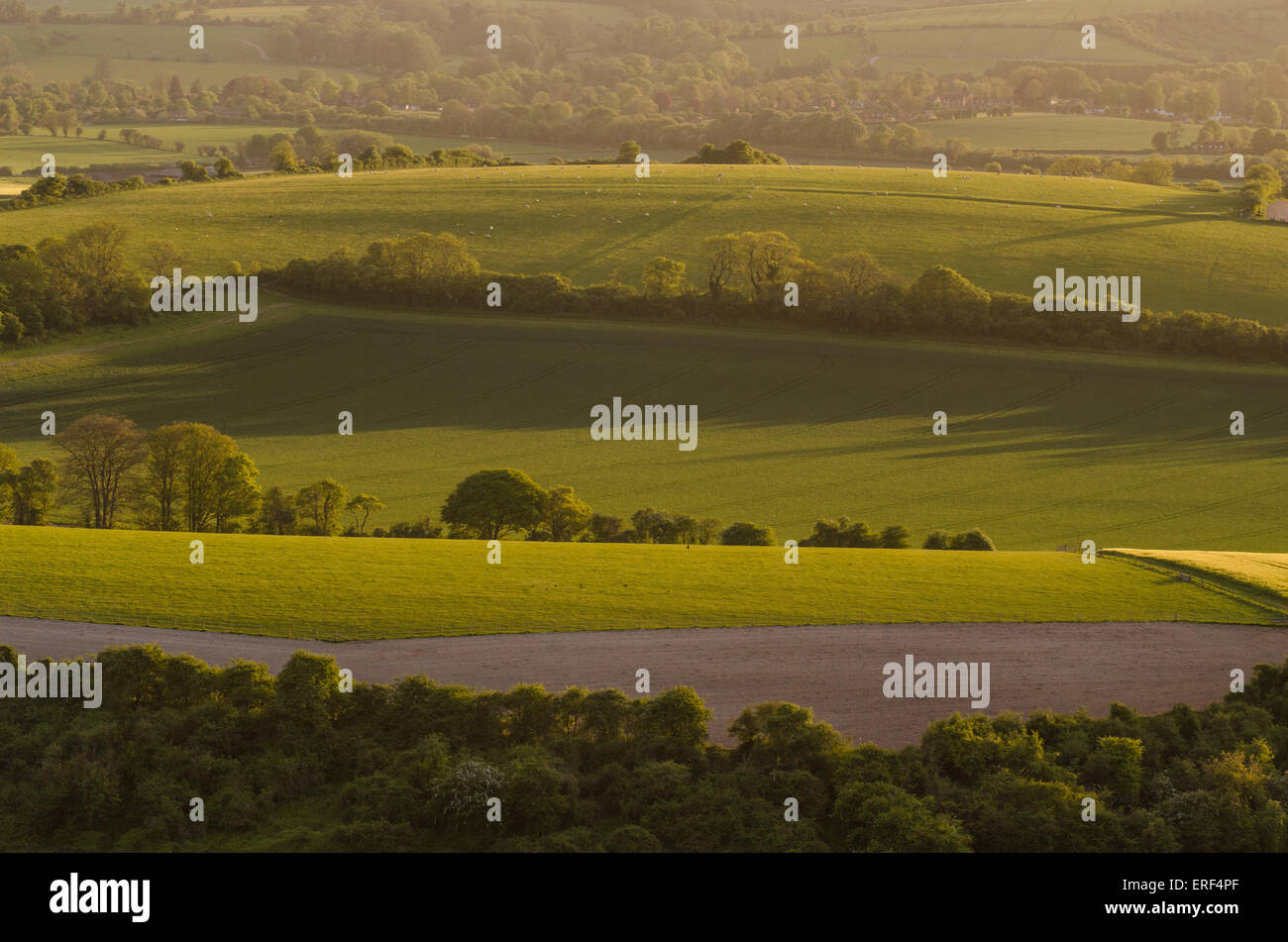 Sunset on Old Winchester Hill, South Downs National Park, UK Stock ...