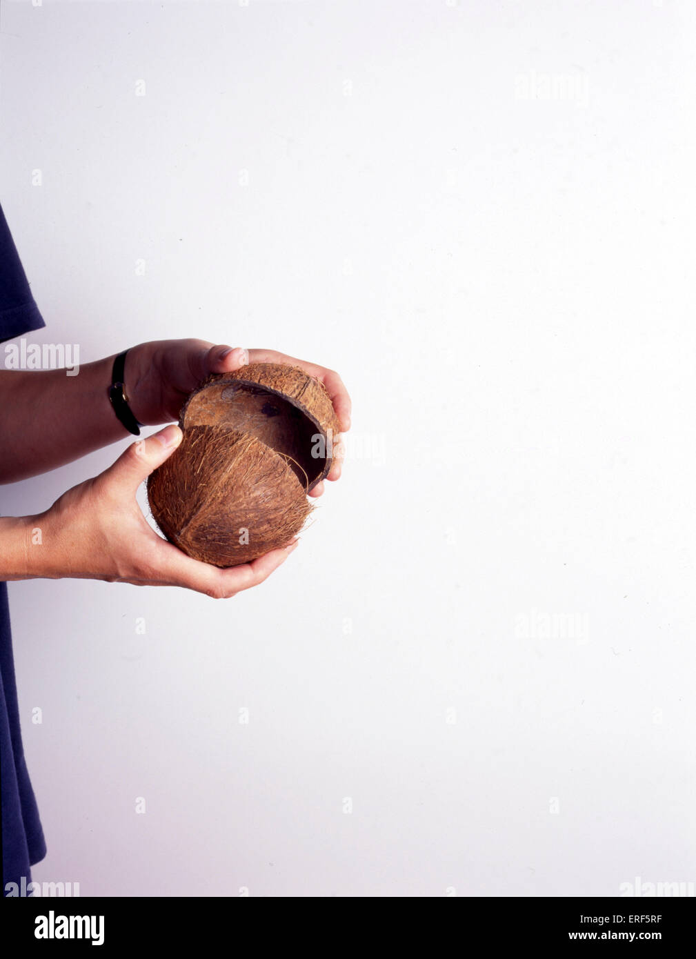 Coconut shells percussion instrument hi-res stock photography and ...