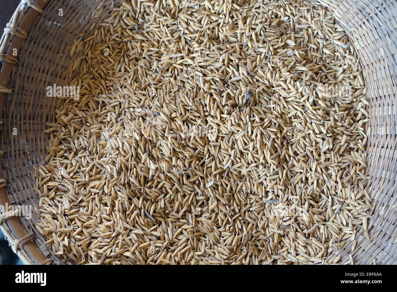 Unhusked rice hi-res stock photography and images - Alamy
