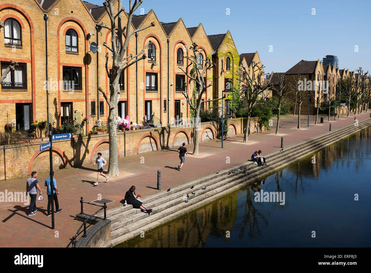 Housing along remnants of London Dock waterways in Wapping London, UK ...