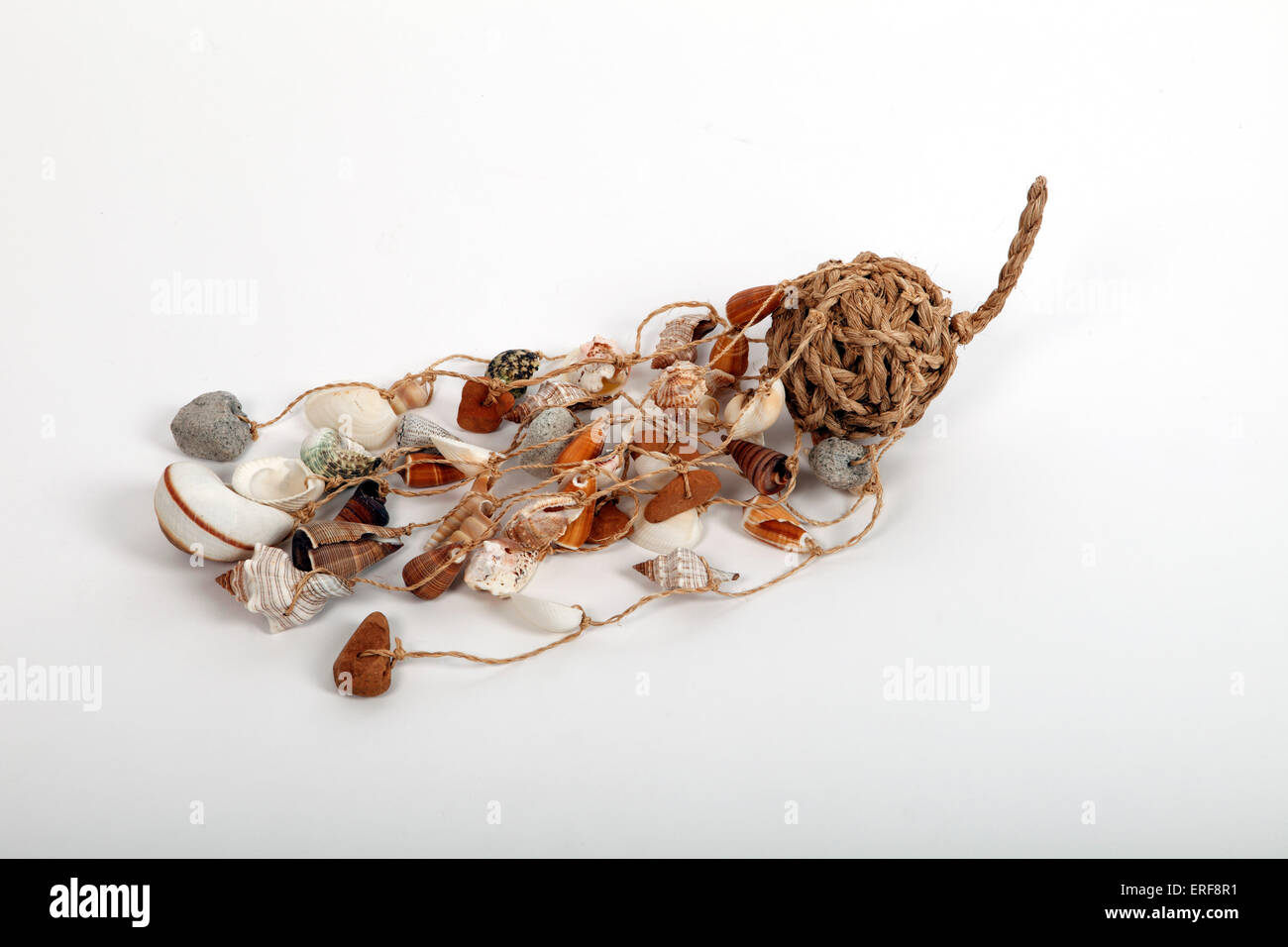 Shell instruments hi-res stock photography and images - Alamy