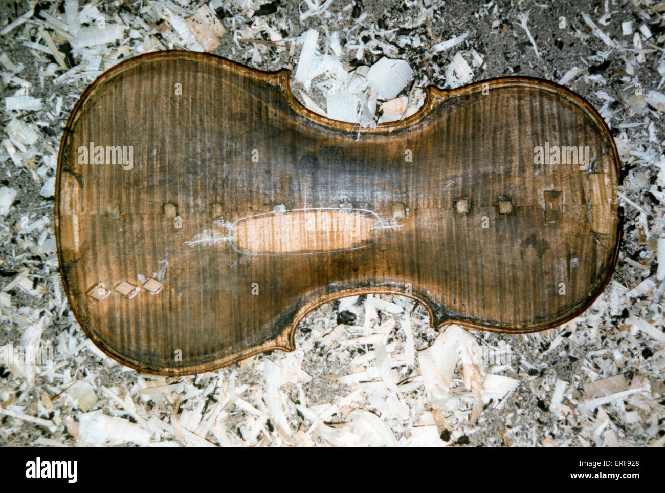A violin being repaired: the interior back of a violin (two-piece ...