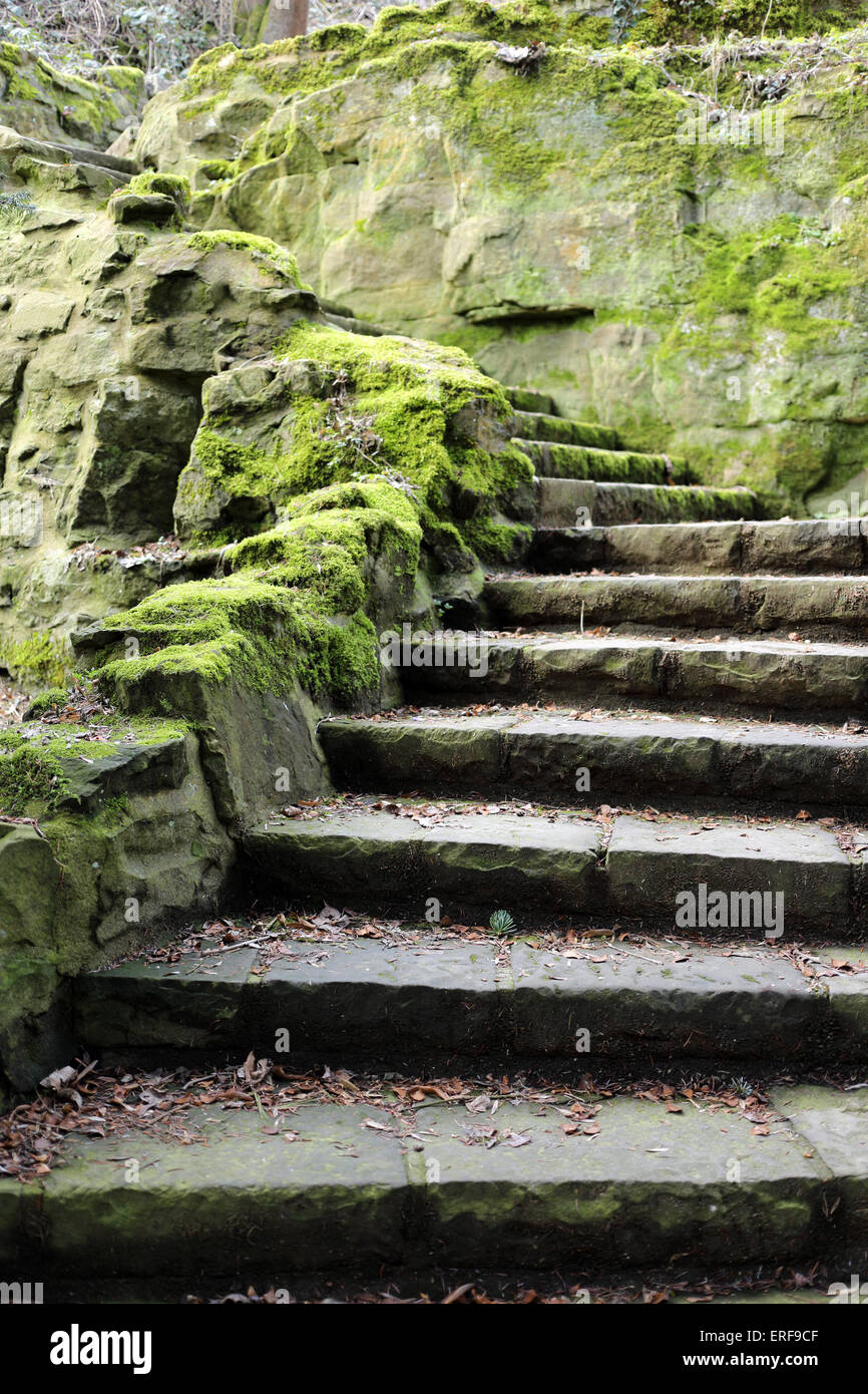 Stone stairs covered by moss Stock Photo - Alamy