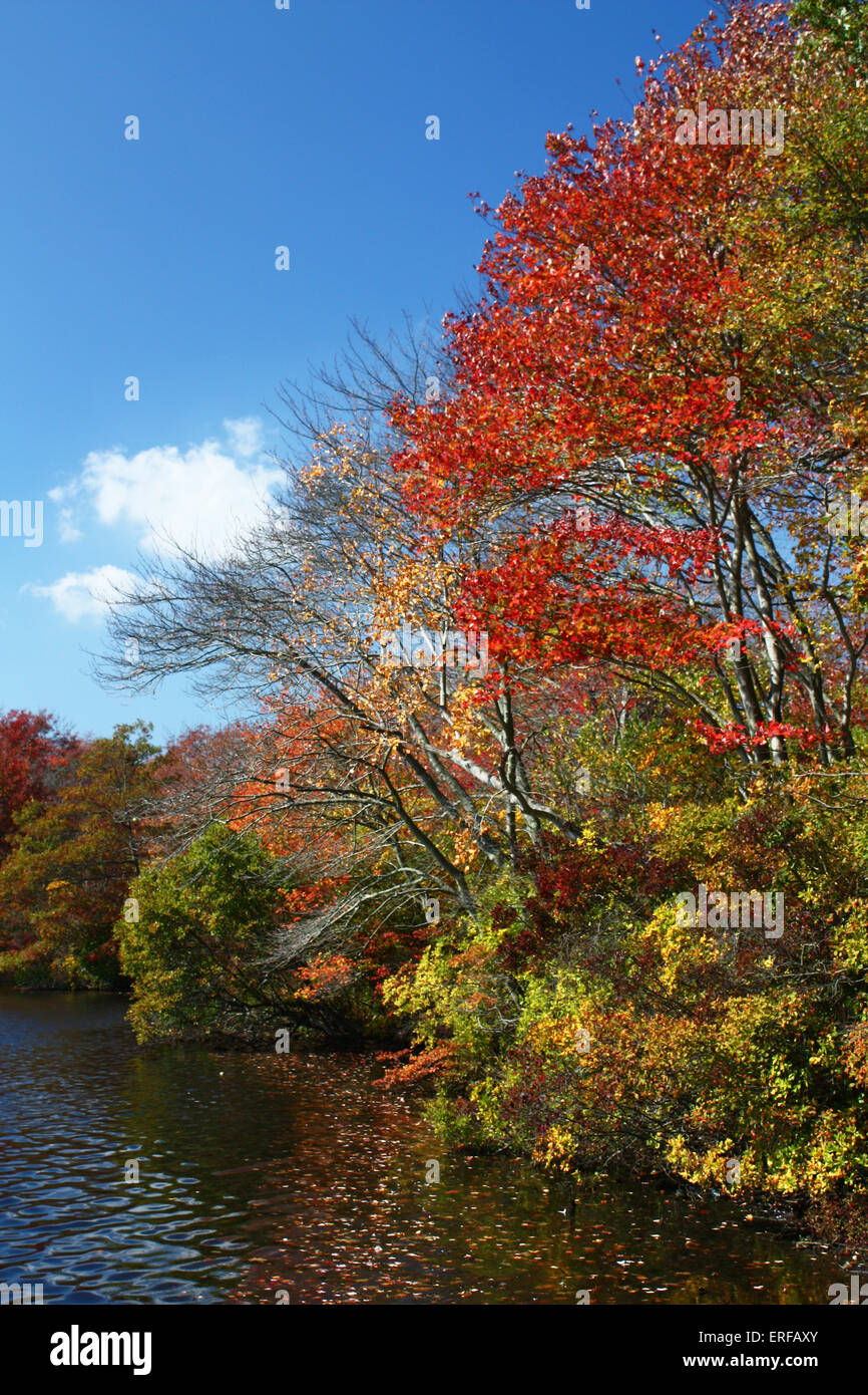 Fall Trees and Lake Stock Photo - Alamy