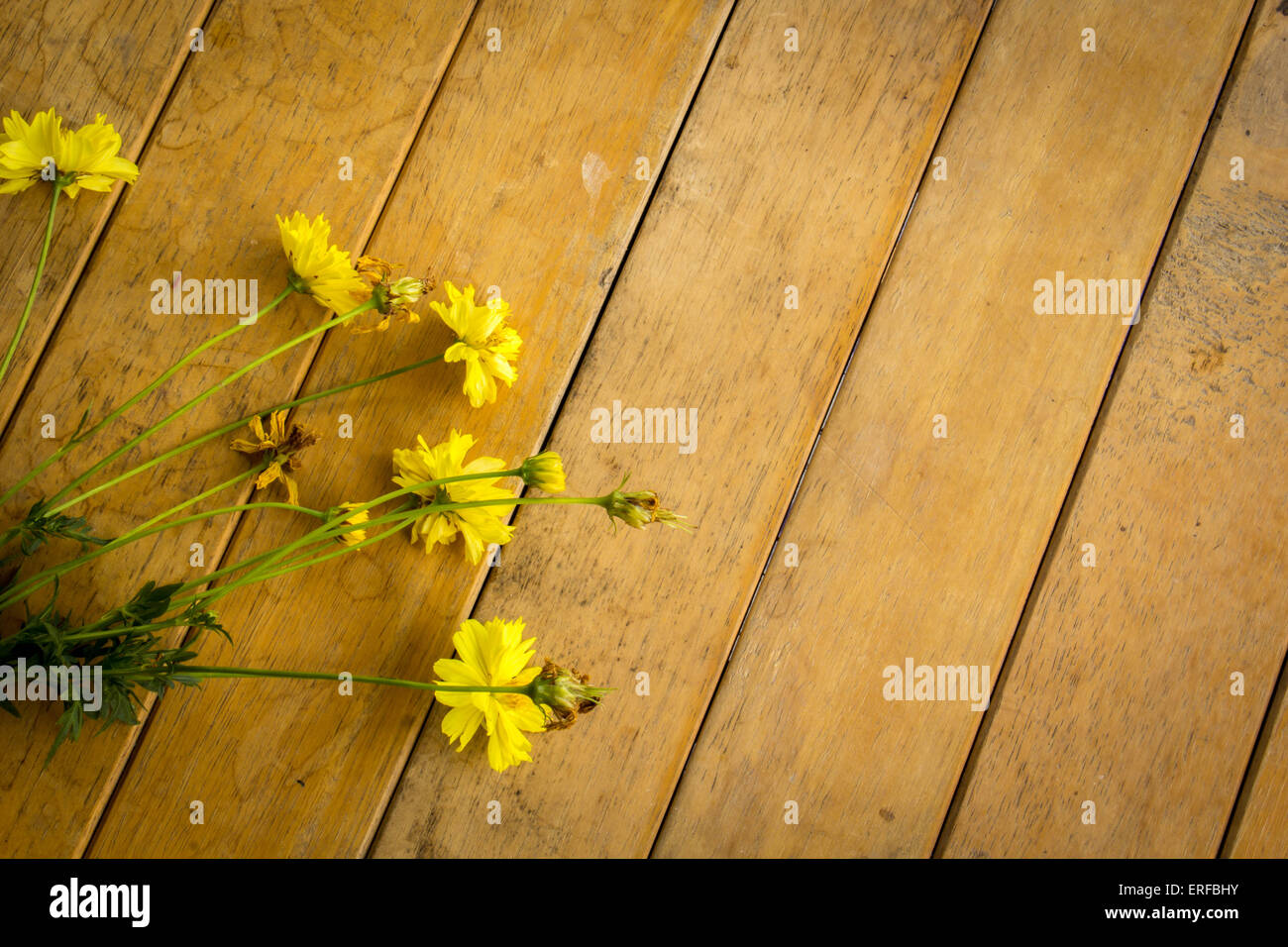 Yellow flowers, table, texture, background, old Stock Photo - Alamy