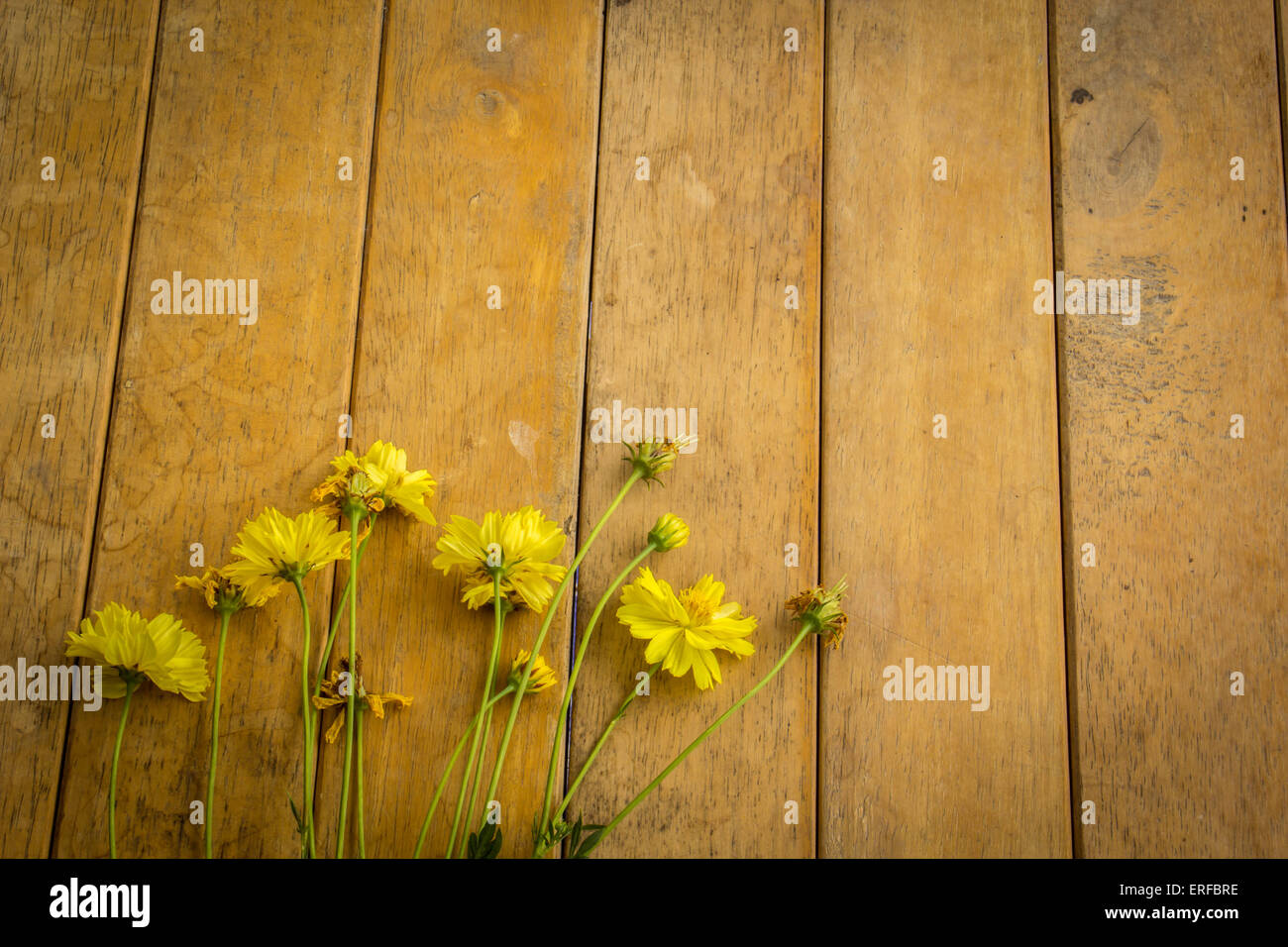 Yellow flowers, table, texture, background, old Stock Photo - Alamy