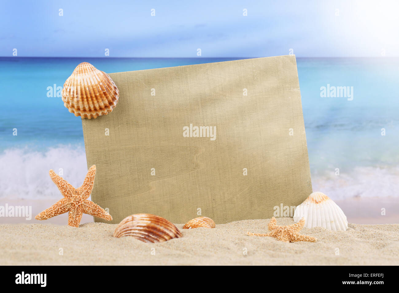 Beach scene in summer vacation with sea shells, stars and copyspace ...