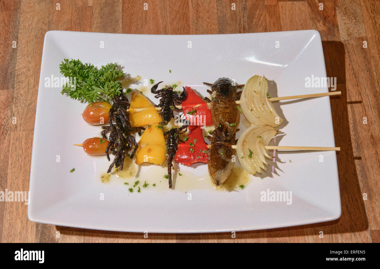 insect kebabs in Siem Reap, Cambodia Stock Photo - Alamy