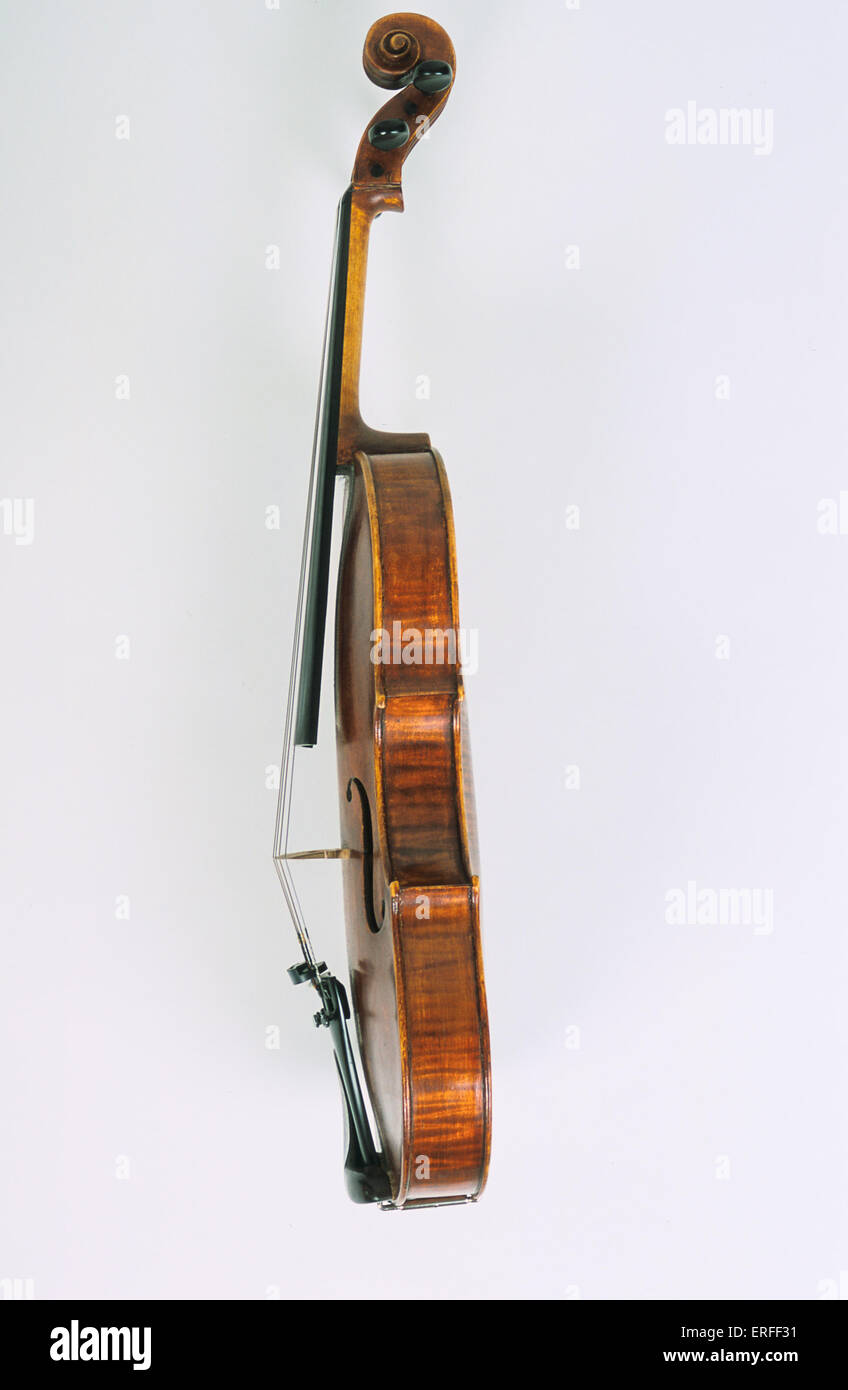 Close-up side view of viola Stock Photo - Alamy