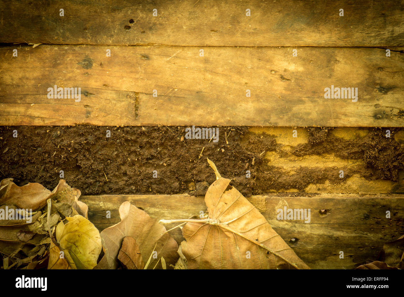 surface, table, texture, tiled, timber, tree, wall, wood, wooden Stock ...