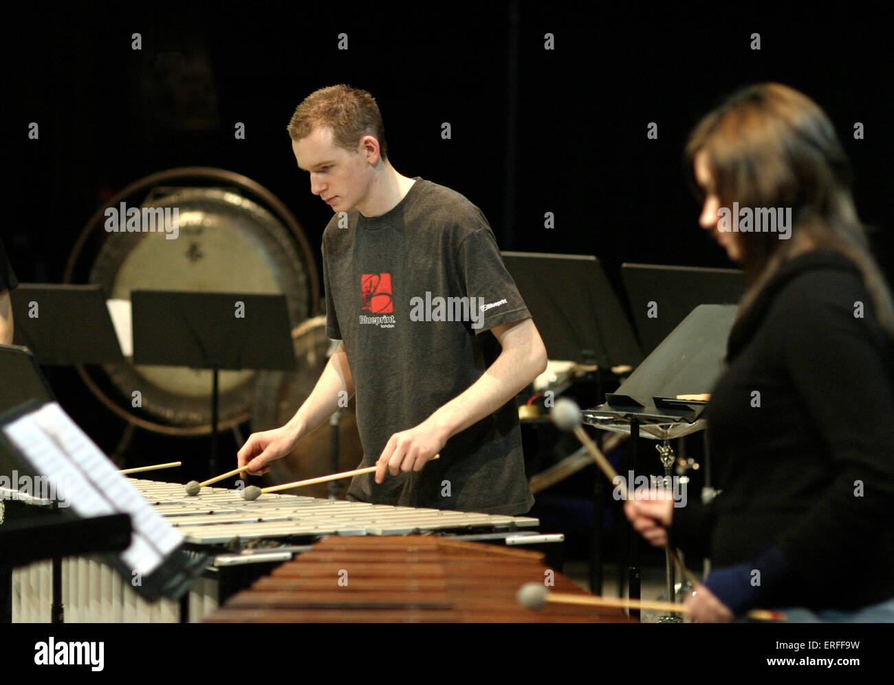 Vibraphone Player