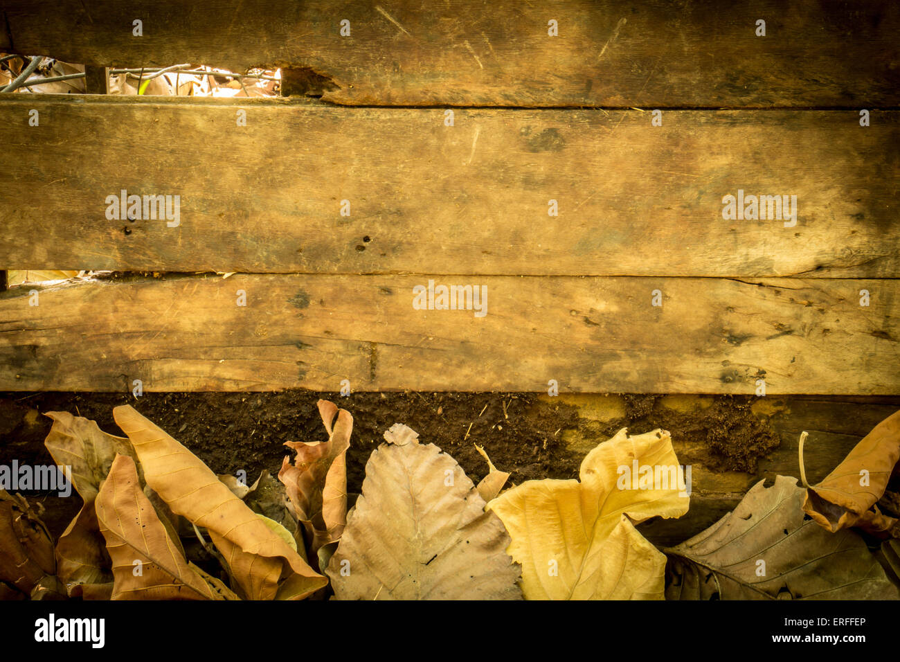 surface, table, texture, tiled, timber, tree, wall, wood, wooden Stock ...
