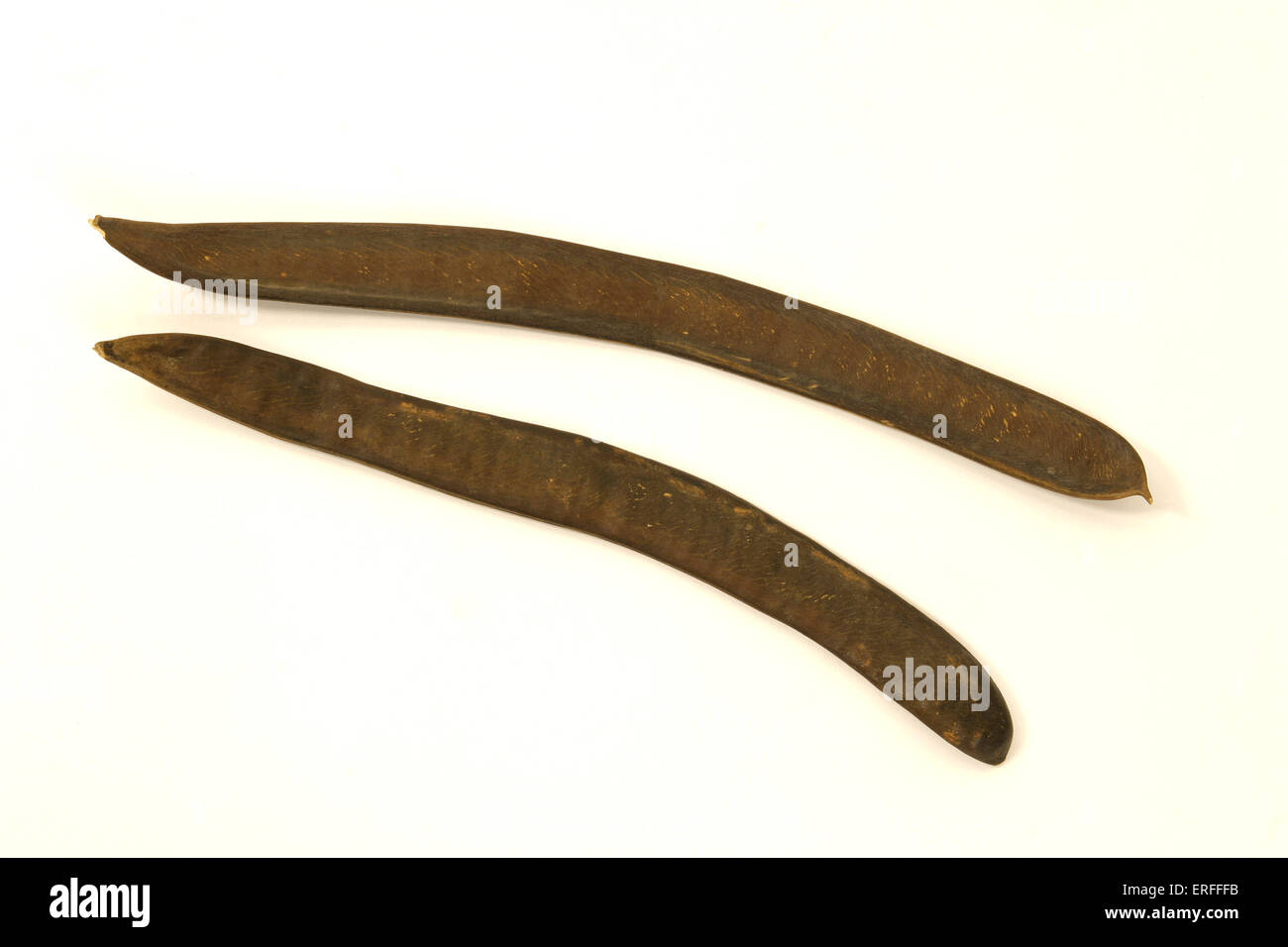 African shaker instrument hi-res stock photography and images - Alamy