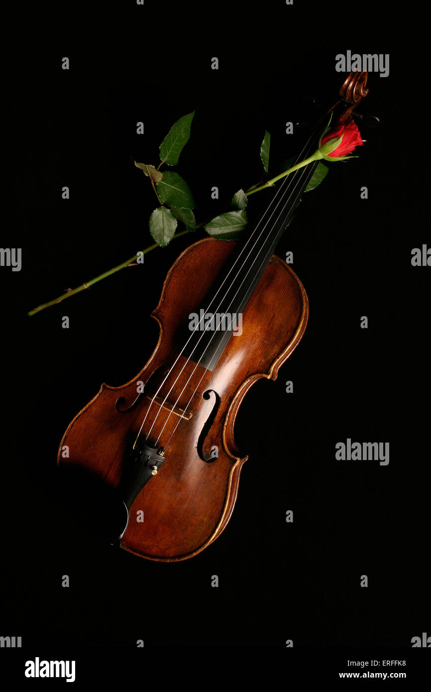 Violin with roses Stock Photo - Alamy