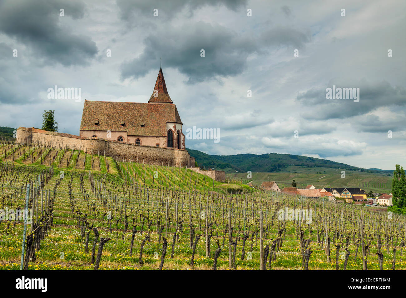 Stormy spring afternoon in Hunawihr, Alsace, France Stock Photo - Alamy