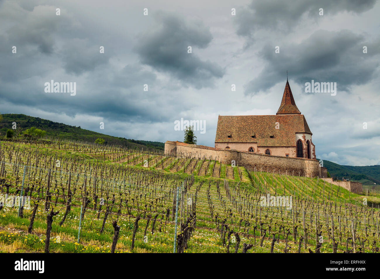 Stormy spring afternoon in Hunawihr, Alsace, France Stock Photo - Alamy