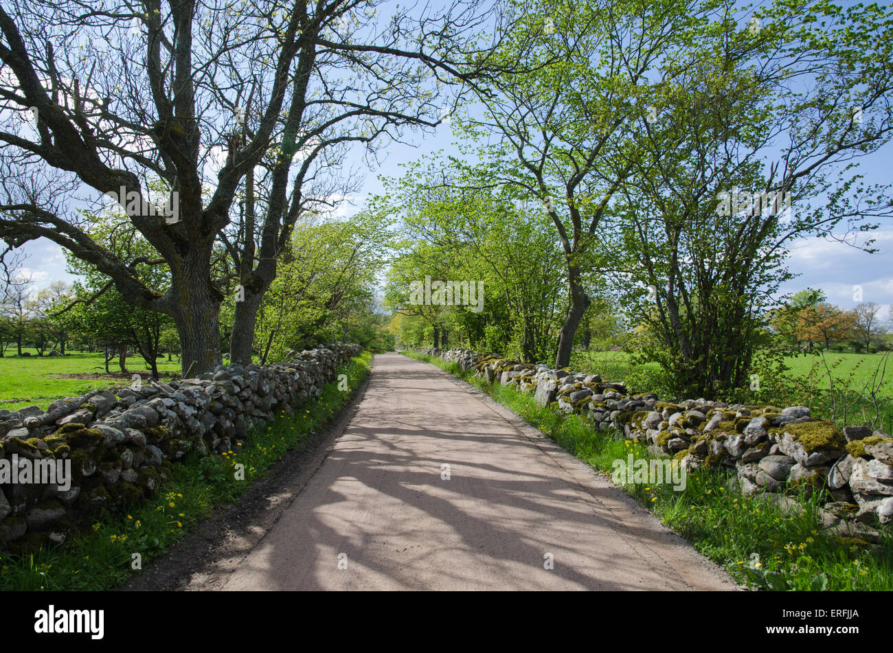 Gravel road at spring surrounded with mossy old stone walls in an old ...