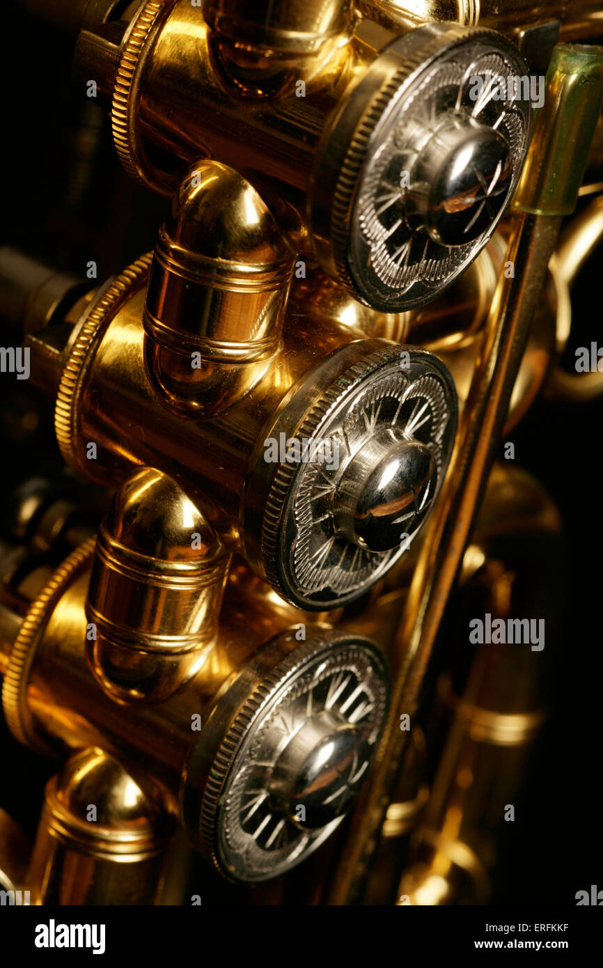 Lechner rotary valved trumpet - close-up detail of brasswork on valves ...