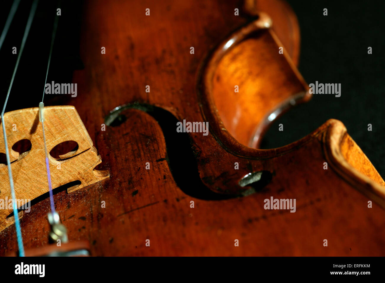Violin - close-up of bridge and strings Black background Stock Photo ...