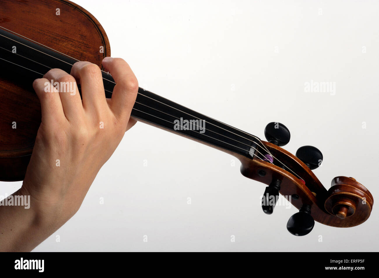 Close up of viola hi-res stock photography and images - Alamy